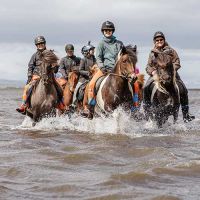 Iceland Riding Vacation - Trail of Hope | Iceland ProTravel